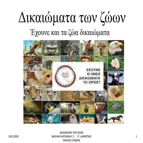 Τα δικαιώματα των ζώων Βασιλικη Μπιζάνη | PPTX