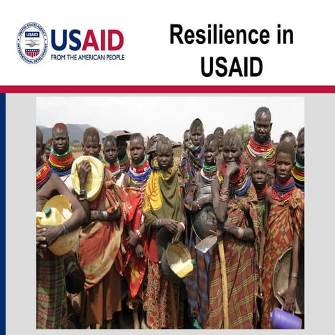Institutionalizing resilience in USAID | PDF
