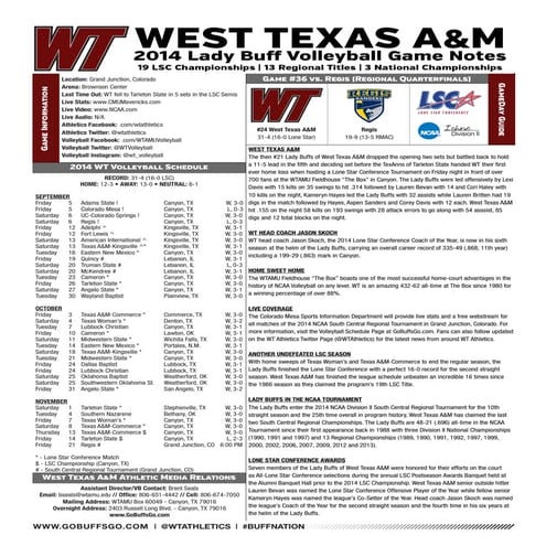 WT Volleyball Game Notes 11-17 | PDF