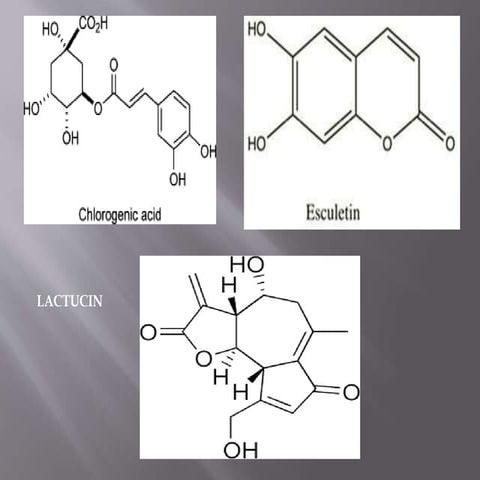 vbnvbvcbvcbcvbcvbvc cvbcvb vcbcv fgbdfn.pptx | Free Download