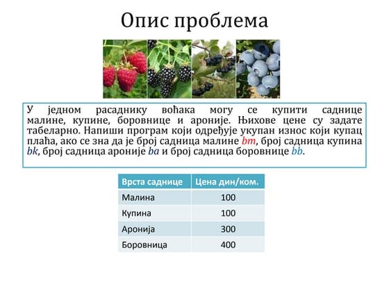 Visual Basic - razgranata struktura | PPTX