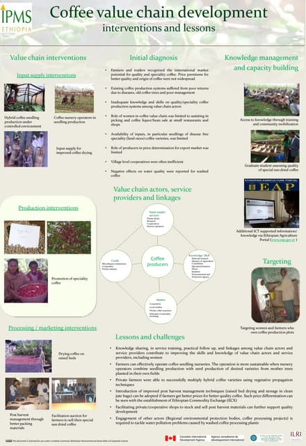 Women in dairy value chain development | PDF