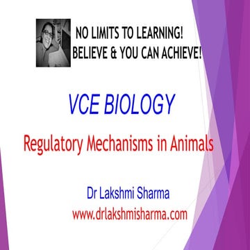 VCE Biology Regulatory Mechanisms in Animals | PPTX
