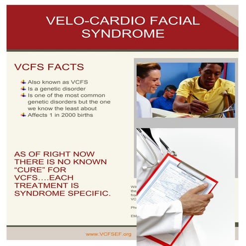 Vcfs flyer | PDF