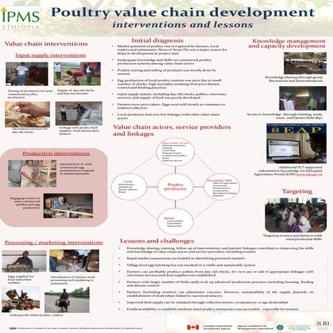 Poultry value chain development: Interventions and lessons | PDF
