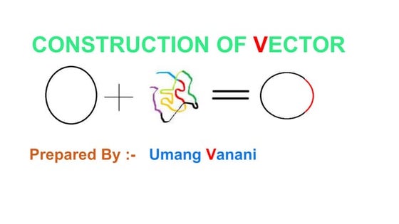 Insertion vector | PPTX | Genetics | Science