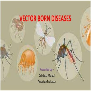 vector born disease for b.sc. nursing.pptx