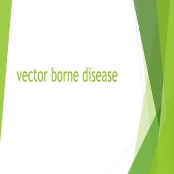 Vector borne disease | PPTX