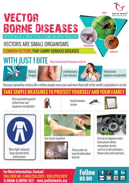 Dengue Fever Facts | PPT