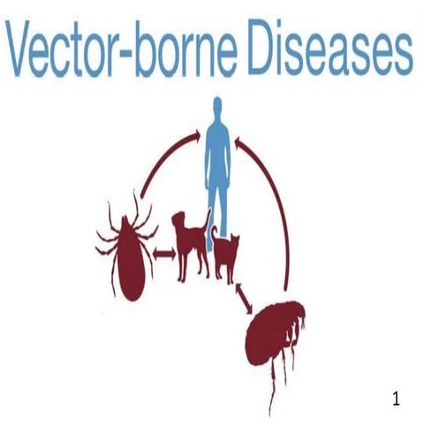Vector borne diseases | PPTX