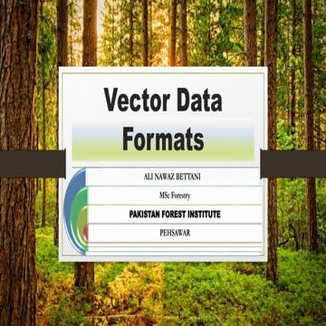 Vector Data Formats Ppt 9395