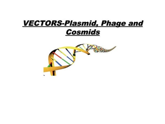 Cosmids vector | PPTX | Genetics | Science