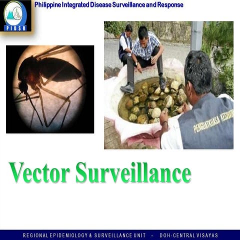 Vector Surveillance.pptx