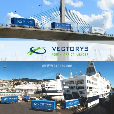 Presentazione di Gruppo Vectorys | PPT