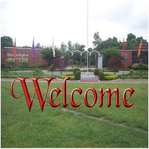 active and intelligent packaging of meat | PPTX