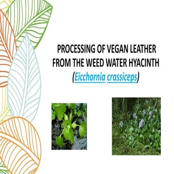 Processing of Vegan leather.pptx