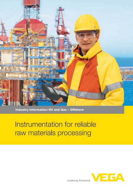 VEGA Pressure & Level Measurement - Food Industry Applications | PDF