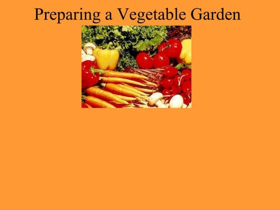 Vegetable production presentation | PPTX | Agriculture | Industries