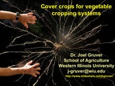 Vegetable Plant Families To Understand Companion Planting | PPT
