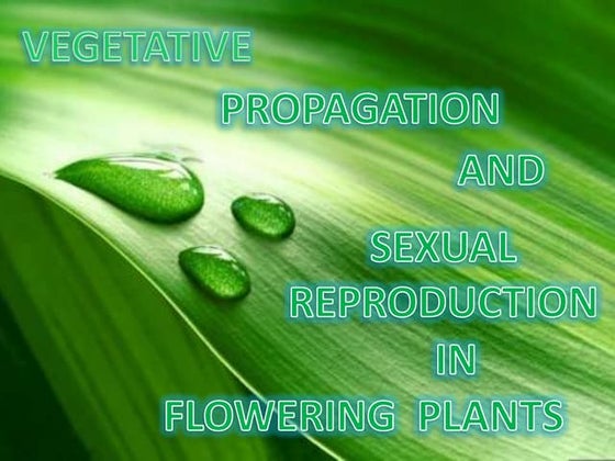 REPRODUCTION IN PLANTS ppt. class 7.pptx