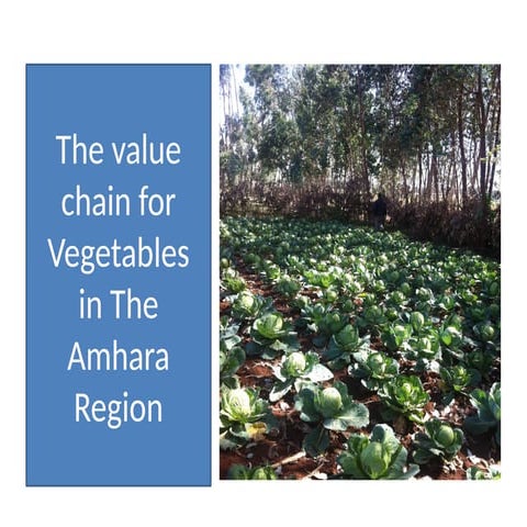 vegetable Commodities value chain and intervention areas.pptx