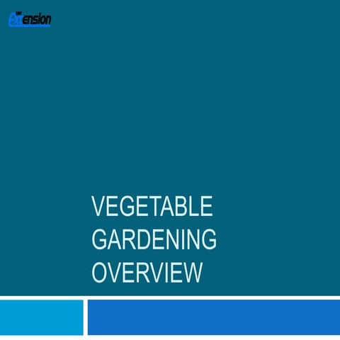 Vegetable Gardening Overview | PPTX | Agriculture | Industries