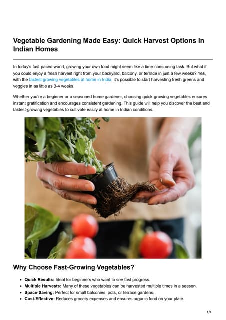 7-day experiment observing the growth of monggo seeds | PPTX