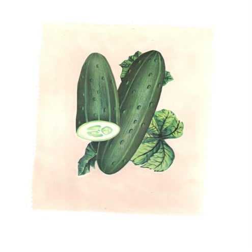 Vegetable flashcards | PDF