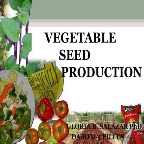 Vegetable seed prodn fr doc glo | PPT