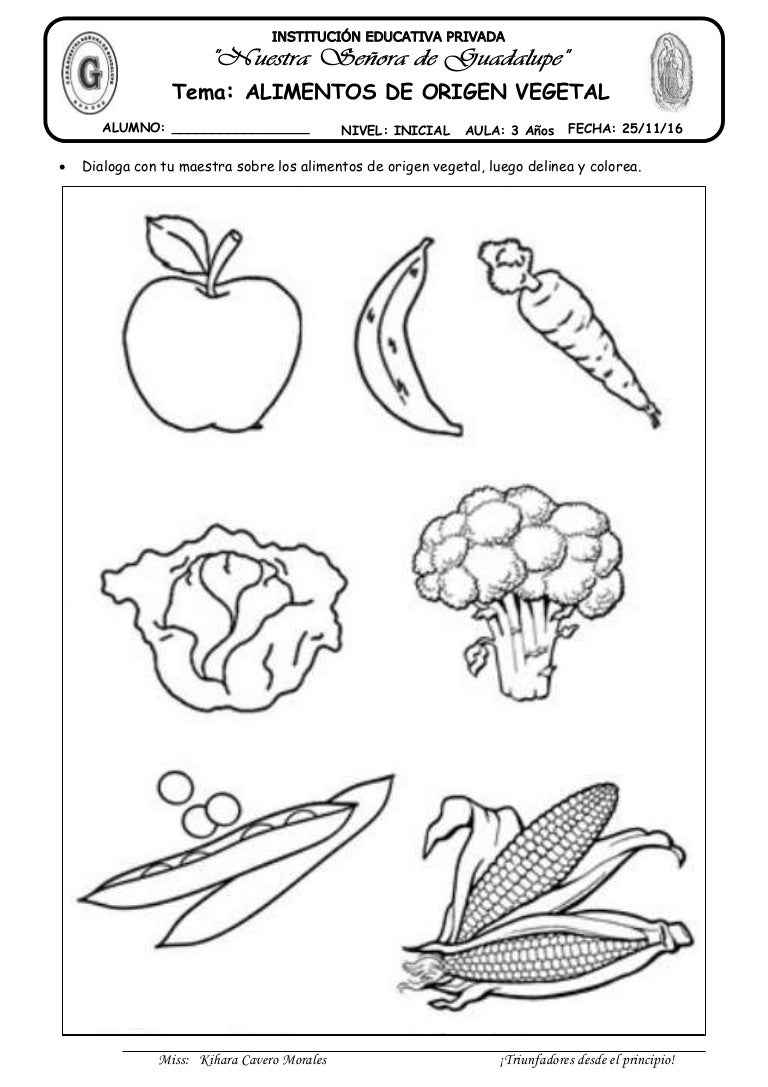 Imagenes De Alimentos De Origen Vegetal Para Colorear