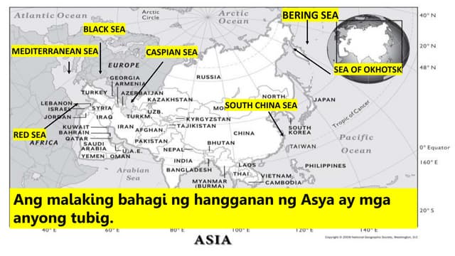 Vegetation cover ng asya ( behetasyon) | PPTX