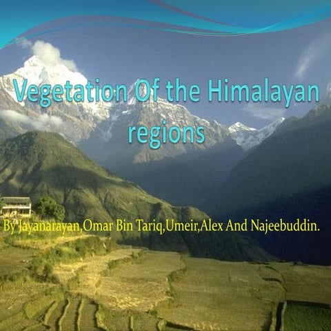 Vegetation of the himalayan regions | PPTX
