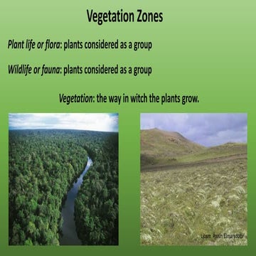 Vegetation Zones