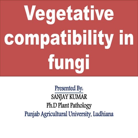 Vegetative compatibility in fungi | PPTX