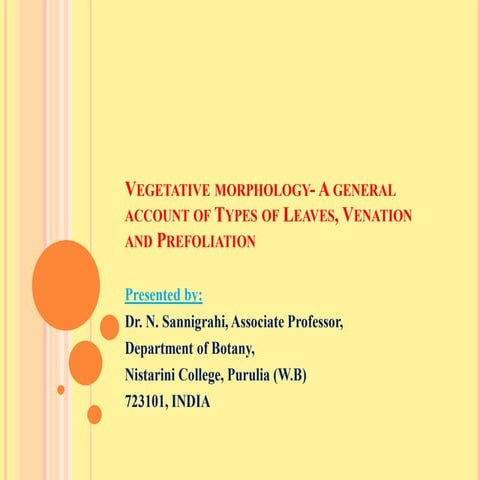 Shapes of plant leaf | PDF