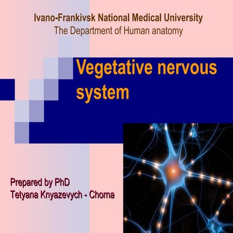 Vegetative nervous system | PPT