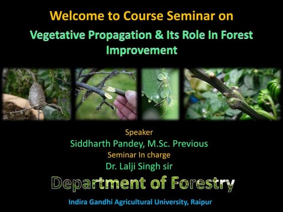 Agroforestry - Benefits & its importance | PDF