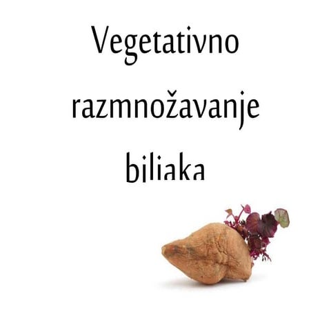 Gradja biljaka | PPTX