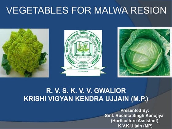 703912-Editable India Map With States.pptx