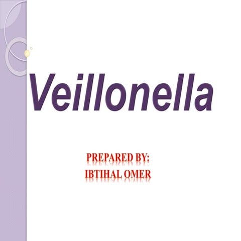 Veillonella ppt | PPTX