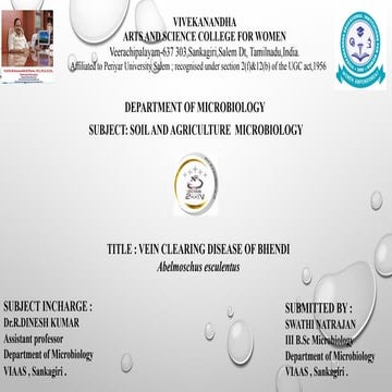 Vein Clearing Disease of Bhendi (Abelmoschusesculentus).pptx