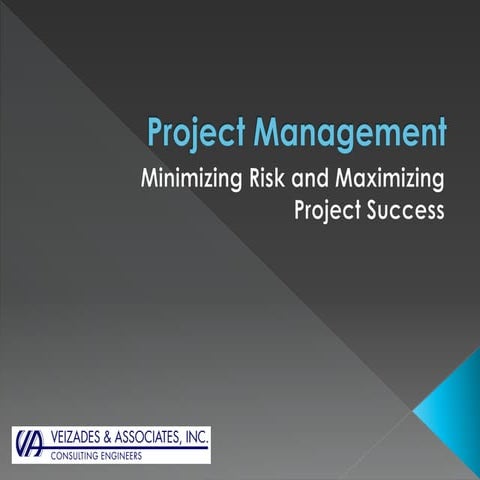 Project Management: Minimizing Risk and Maximizing Project Success | PDF
