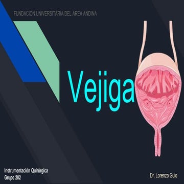 Presentación sobre la Vejiga Urinaria.pptx