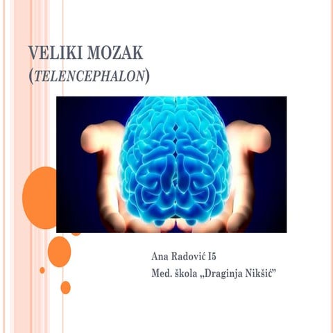 Veliki mozak | PPTX