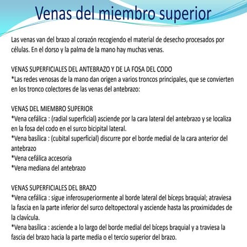 Venas miembro superior | PPTX