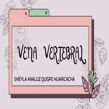 vena vertebral.pptx