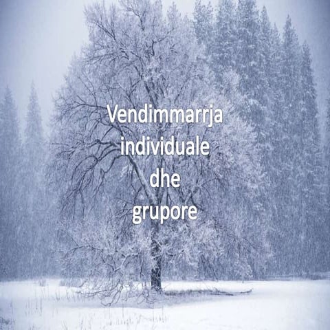 Vendimmarrja individuale dhe grupore | PPTX