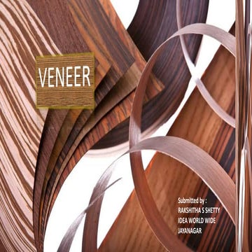 Veneer | PDF