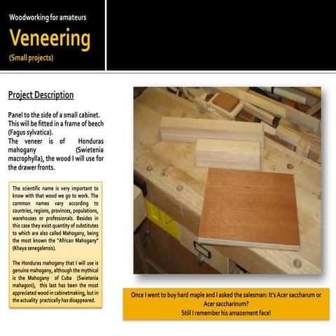 Veneering blogg | PPT