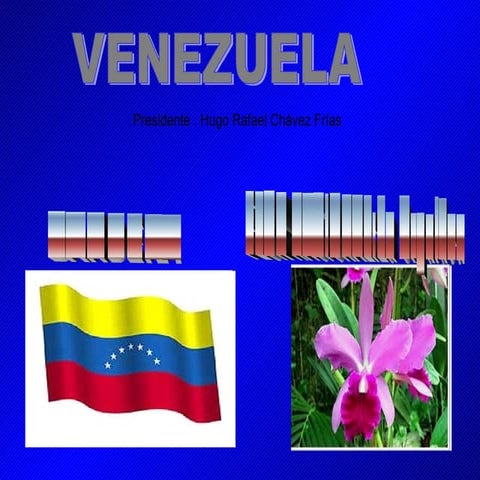 Venezuela 1 | PPT